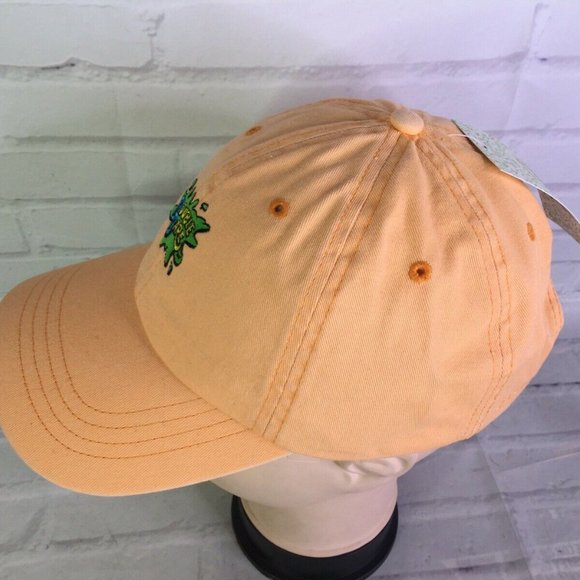 Bioworld | Accessories | Nickelodeon Double Dare Embroidered Logo Hat ...